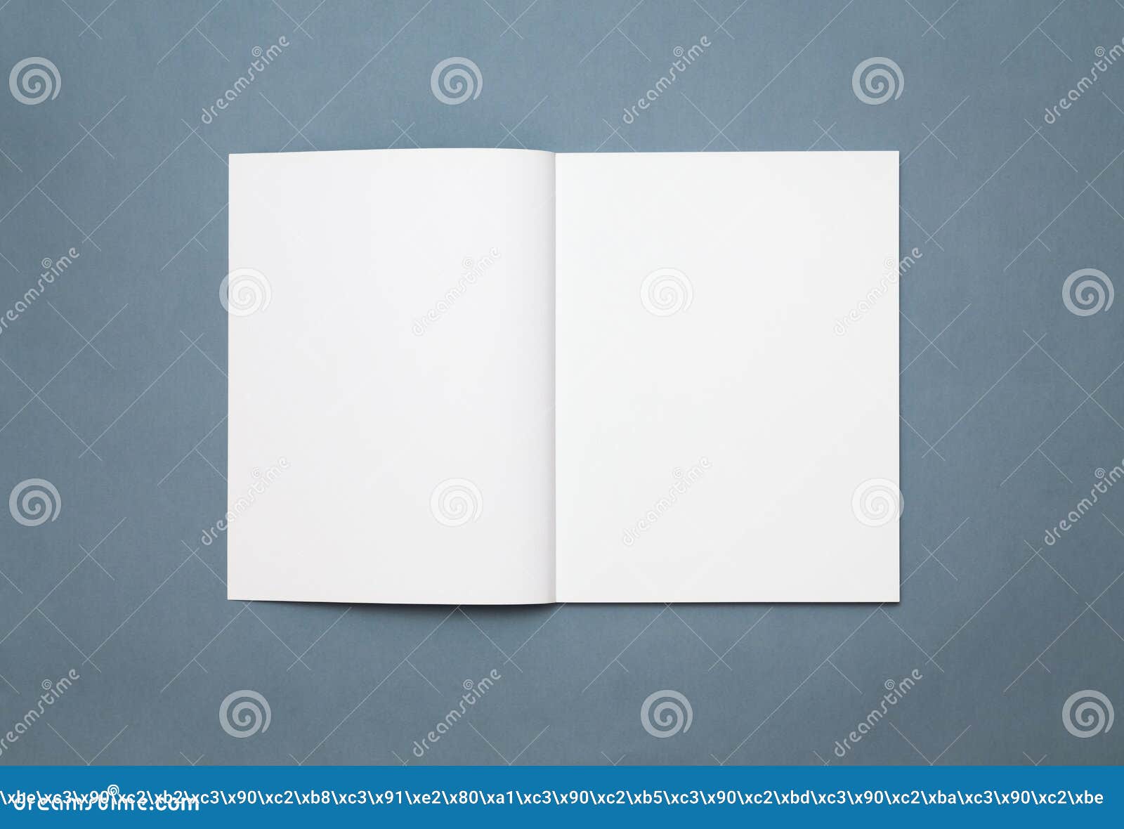 Blank Magazine Template Stock Photo | CartoonDealer.com #62850246