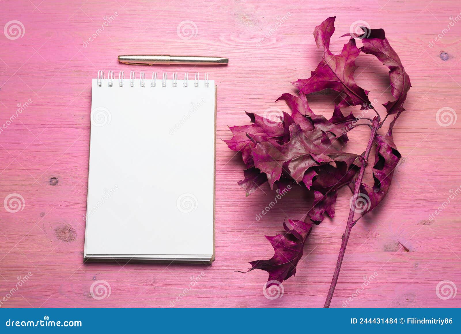 Blank page notepad stock photo. Image of empty, page - 244431484