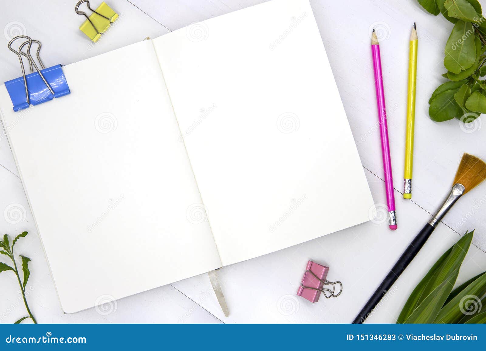 Blank Page of Sketchbook with Green Leaf and Art Tools. Creative ...