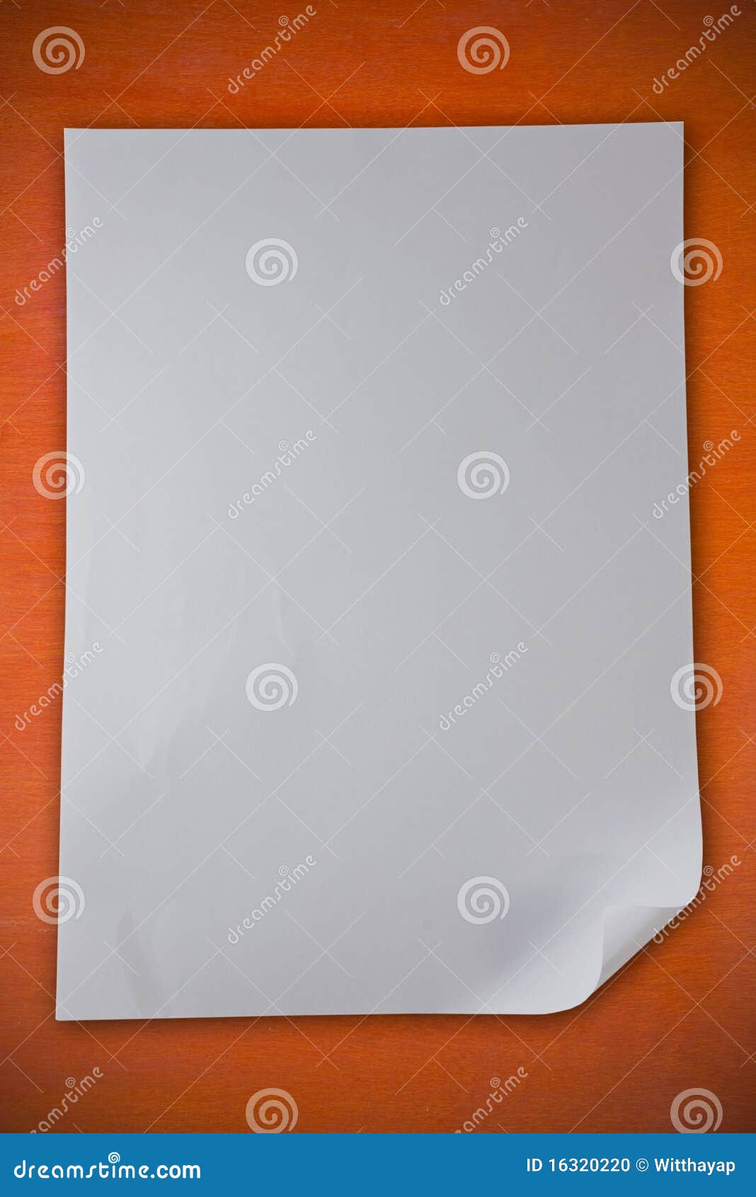 Blank paper stock photo. Image of nature, paper, post - 16320220