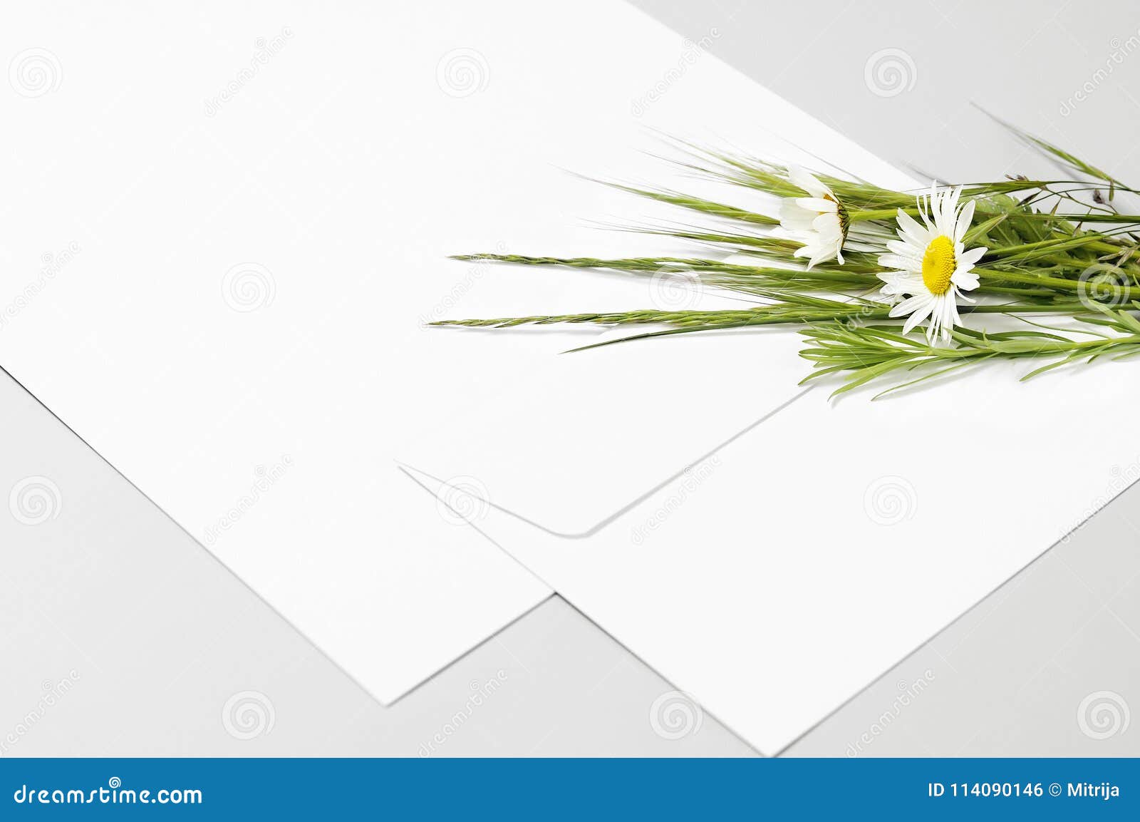 Blank Paper, Envelope and Spring Flowers Stock Photo - Image of blank ...