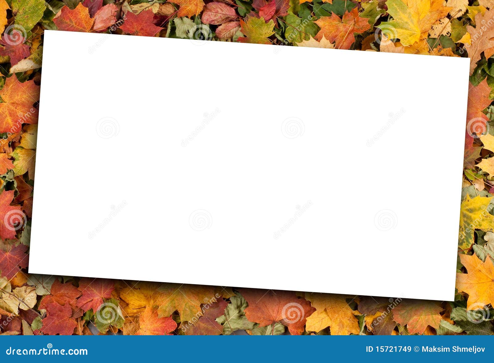 A Blank Paper Lying on Fallen Autumn Leaves Stock Image - Image of copy ...