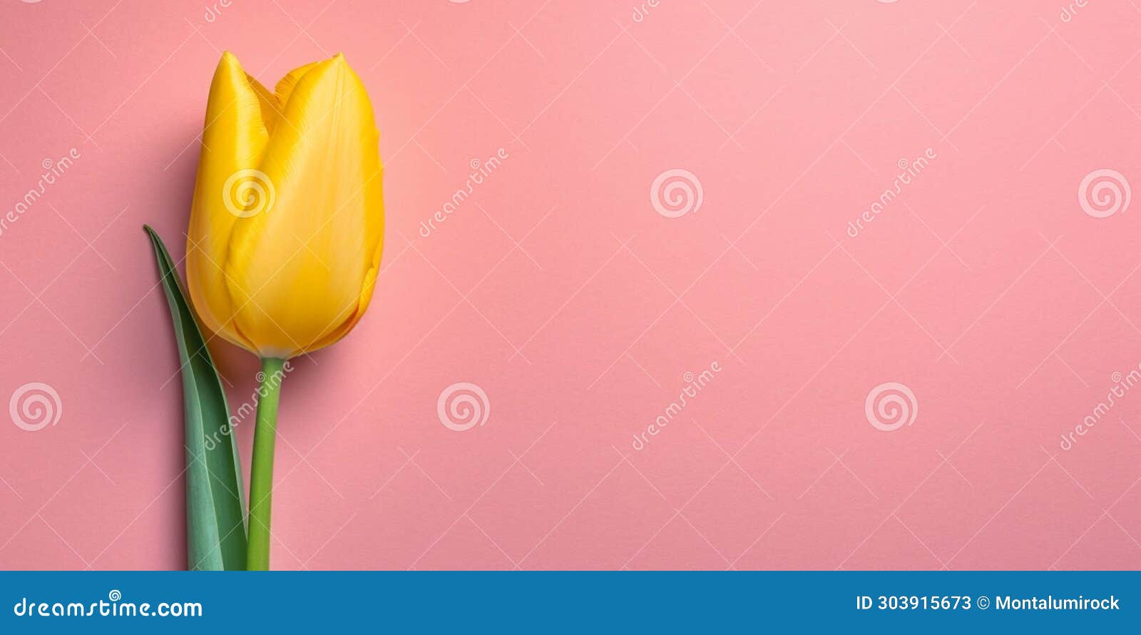 Blank Paper Note and Flower for Text Copy Space Background AI Generated ...