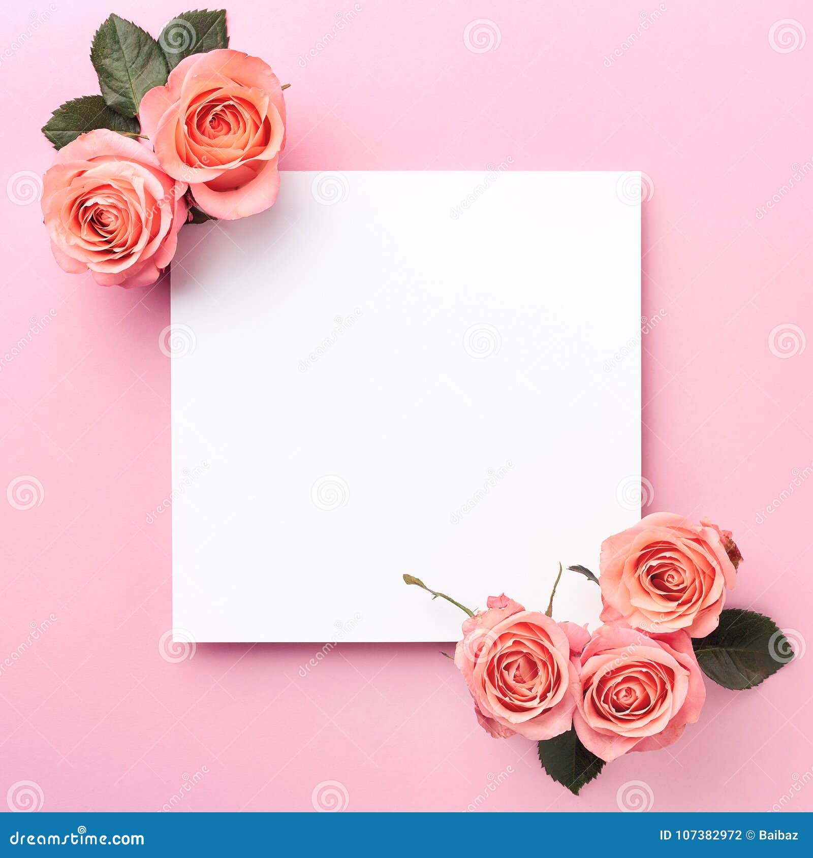 Blank Paper Note and Roses on Pink Background Stock Photo - Image of ...