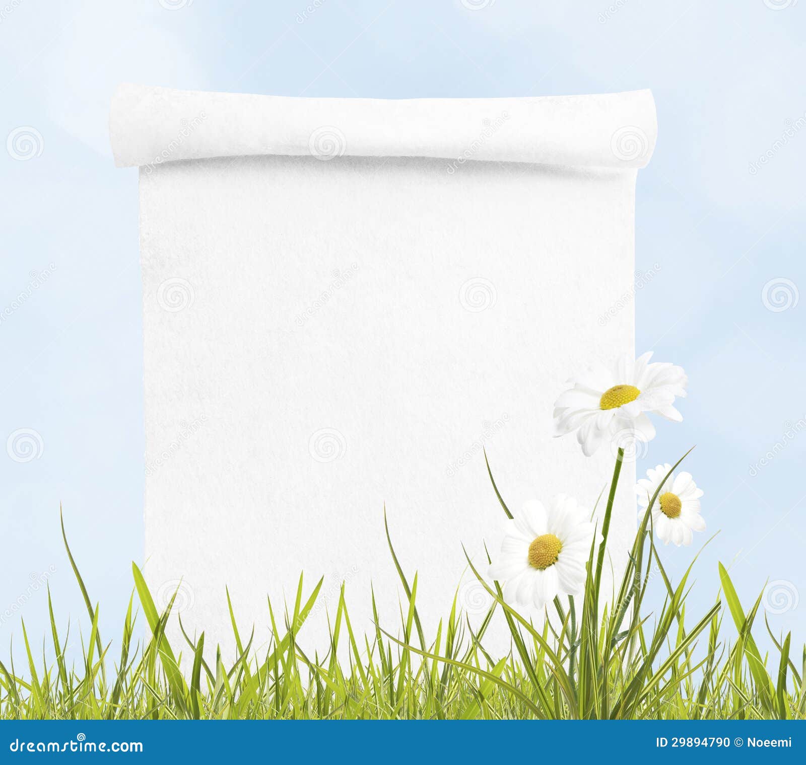 Blank Paper Scroll Summer Background Stock Photos - Download 32 Royalty ...