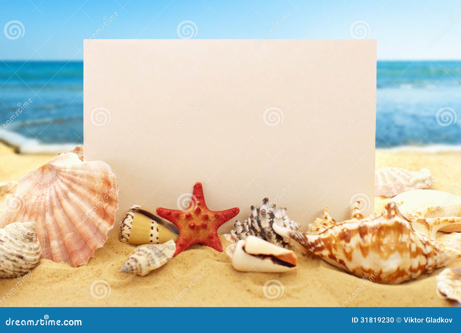 Blank Paper with Seashells on Beach Stock Photo - Image of coastline ...