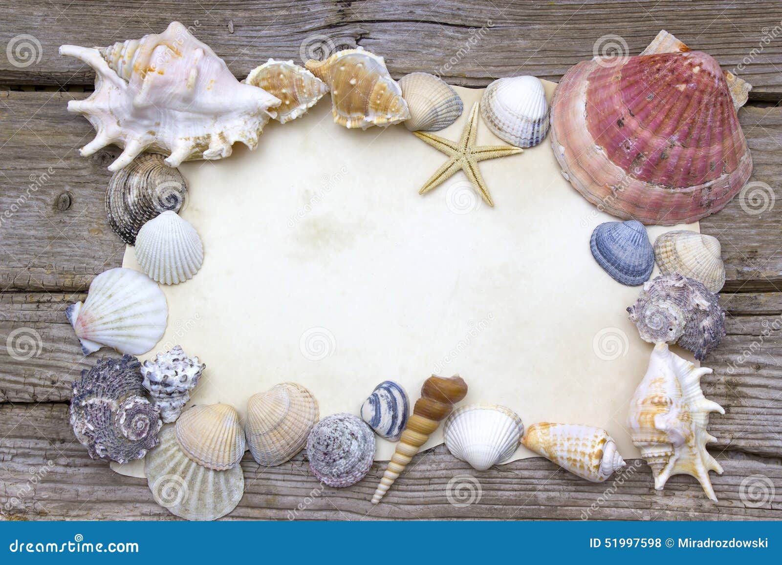 Blank paper with seashells stock photo. Image of tourism - 51997598
