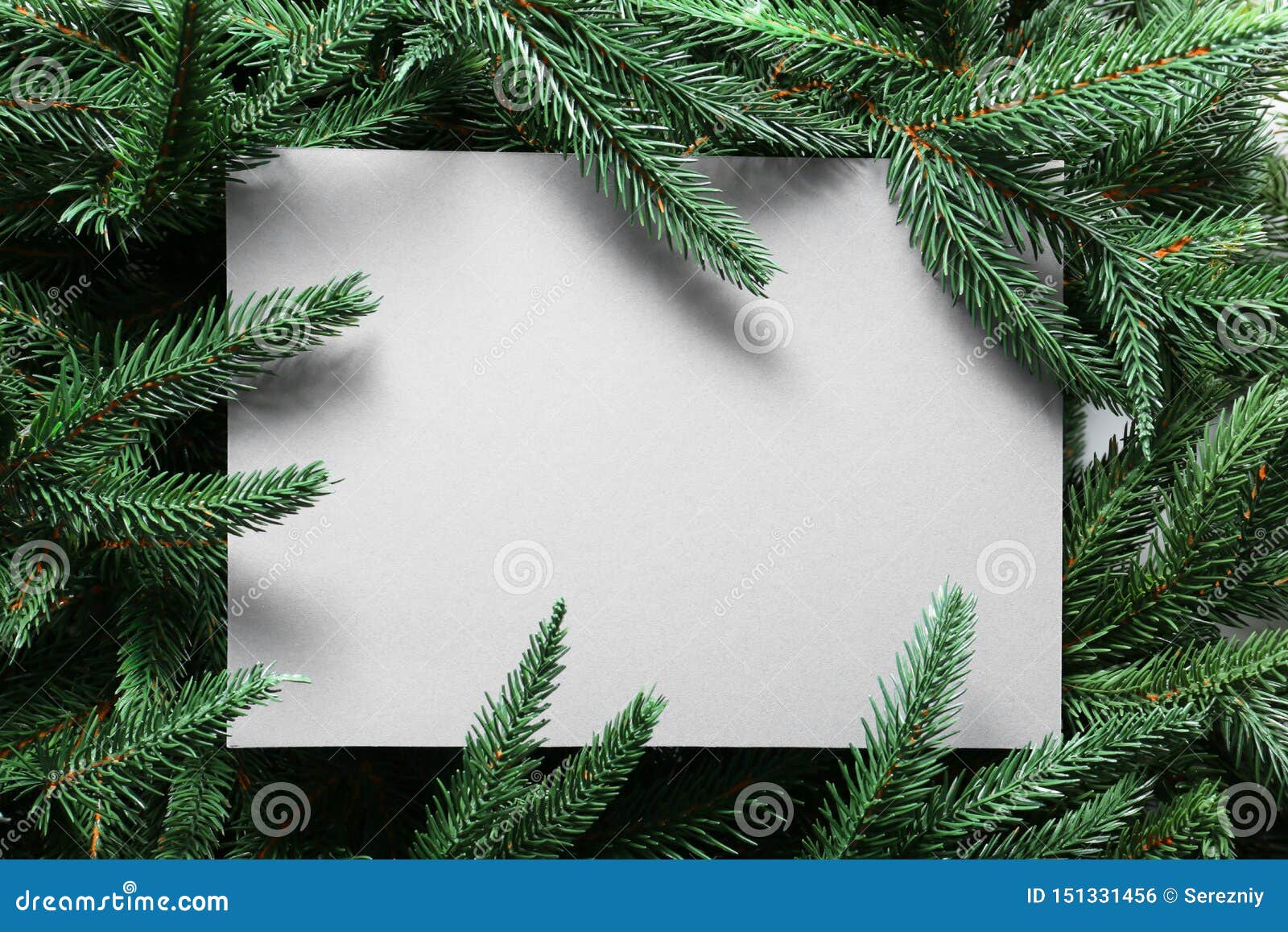 Blank Paper Sheet with Fir Tree Branches Stock Photo - Image of holiday ...