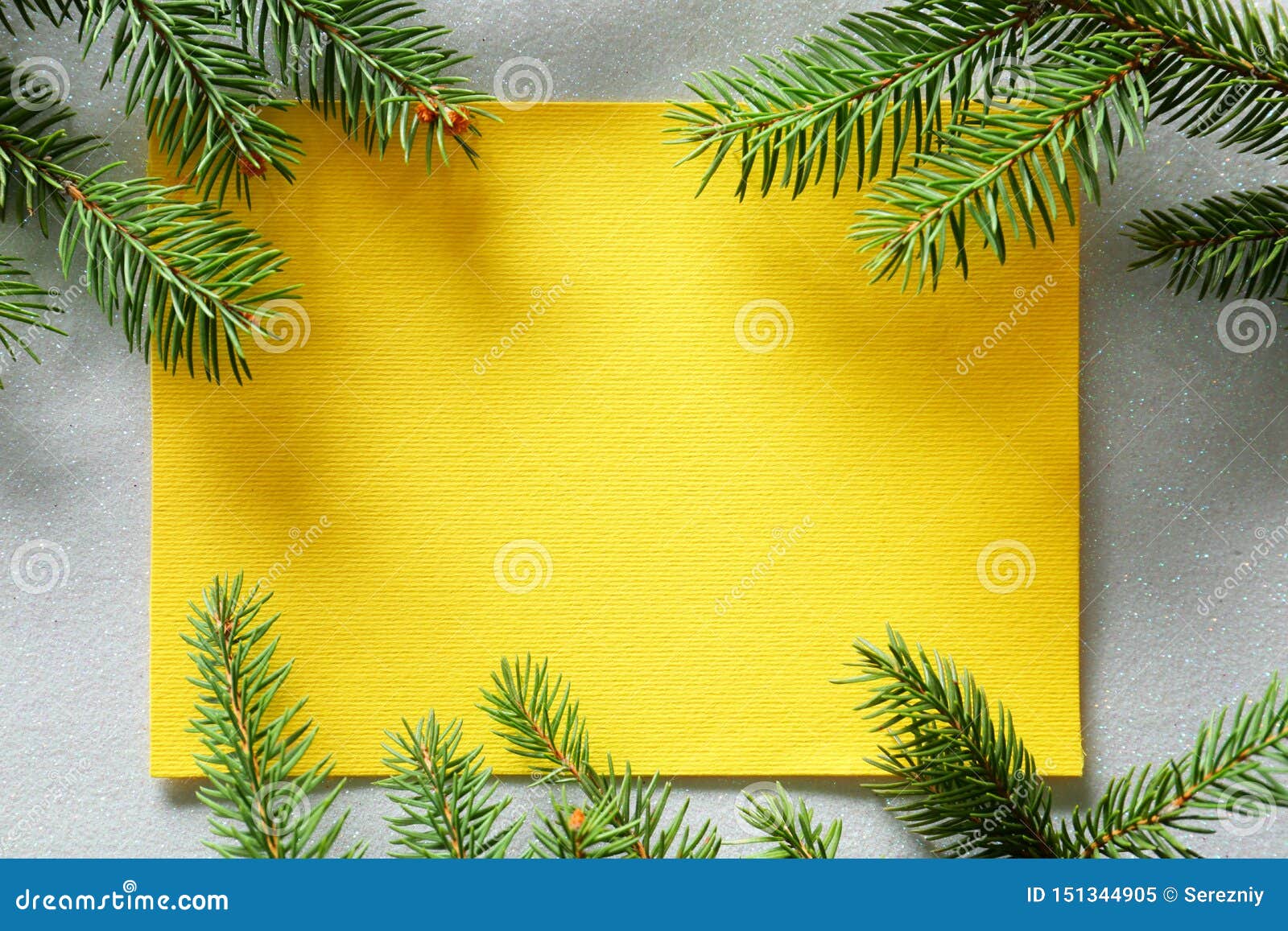 Blank Paper Sheet with Fir Tree Branches on Light Background Stock ...