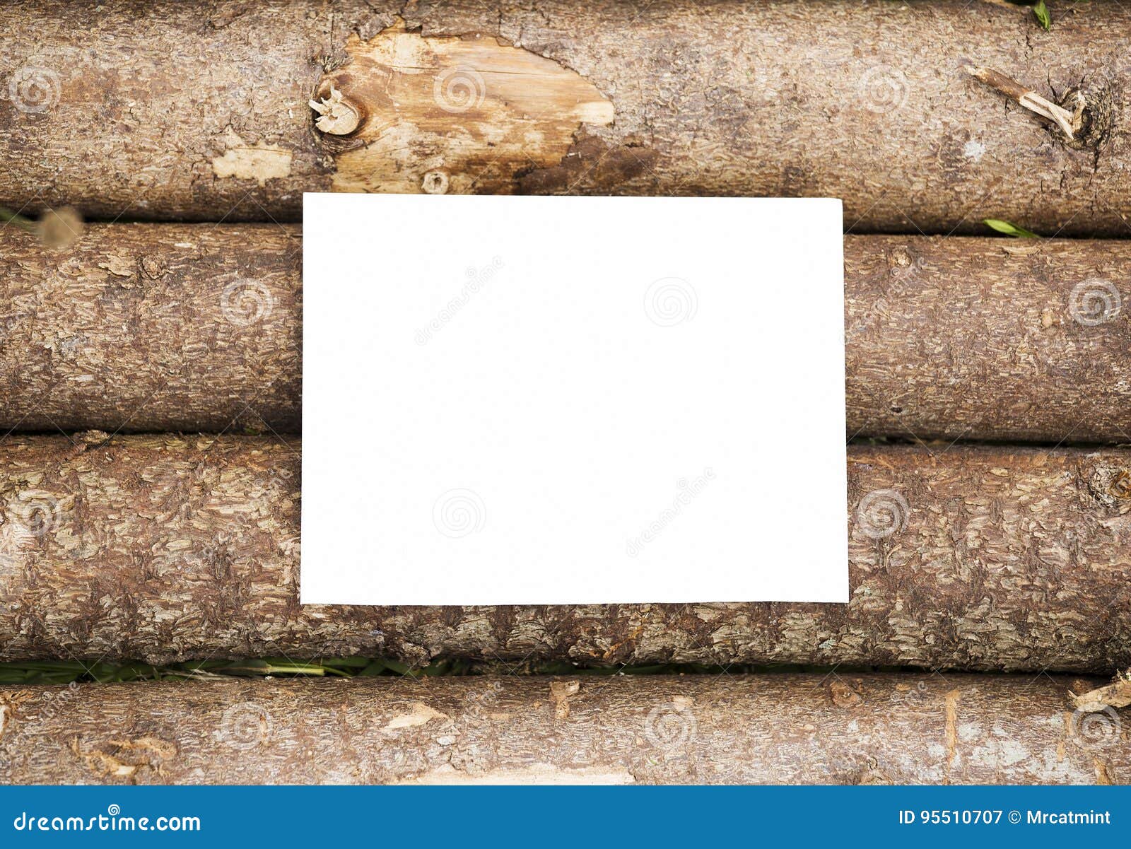 Blank Paper Sheet on Wood Log Background Stock Image - Image of ...