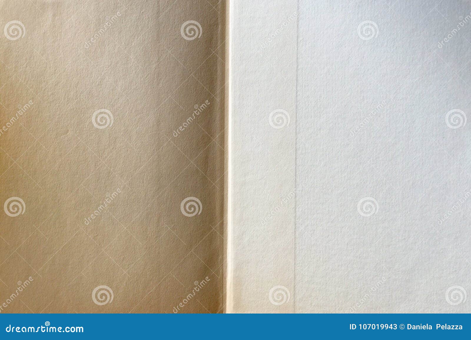 Blank papers stock image. Image of white, opened, book - 107019943