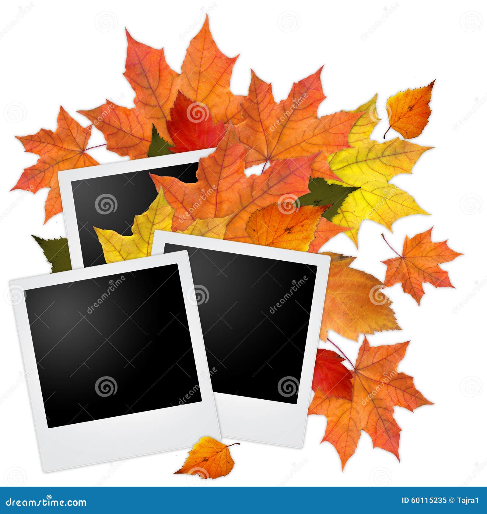 Blank Photo Frames with Autumn Leaves Stock Illustration - Illustration ...