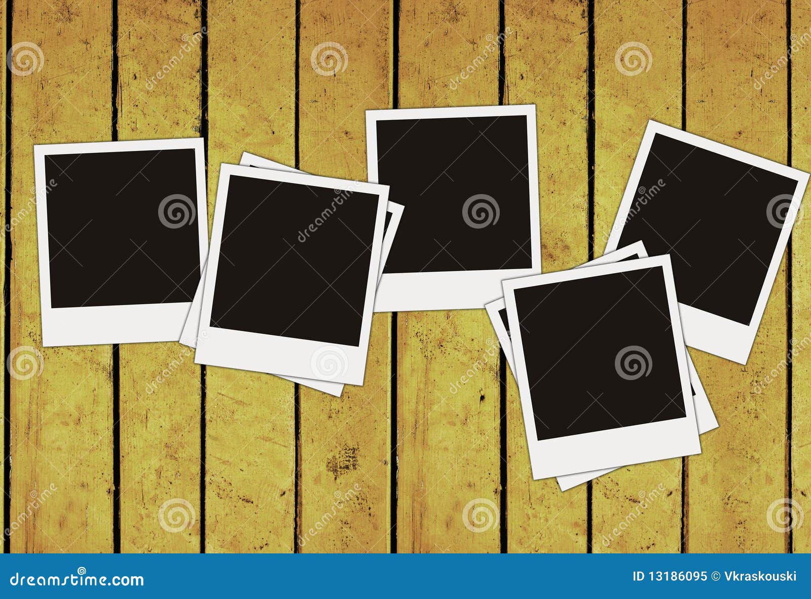 Blank photos stock image. Image of empty, display, paint - 13186095