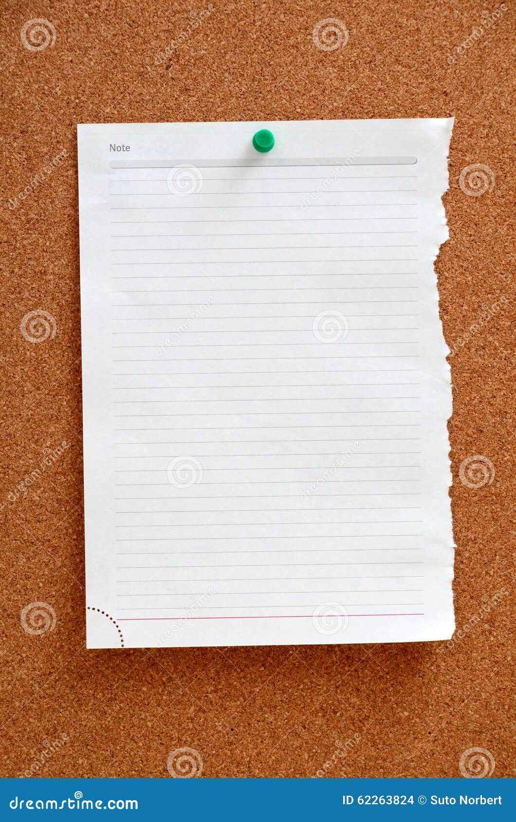 Pinned Notebook Paper