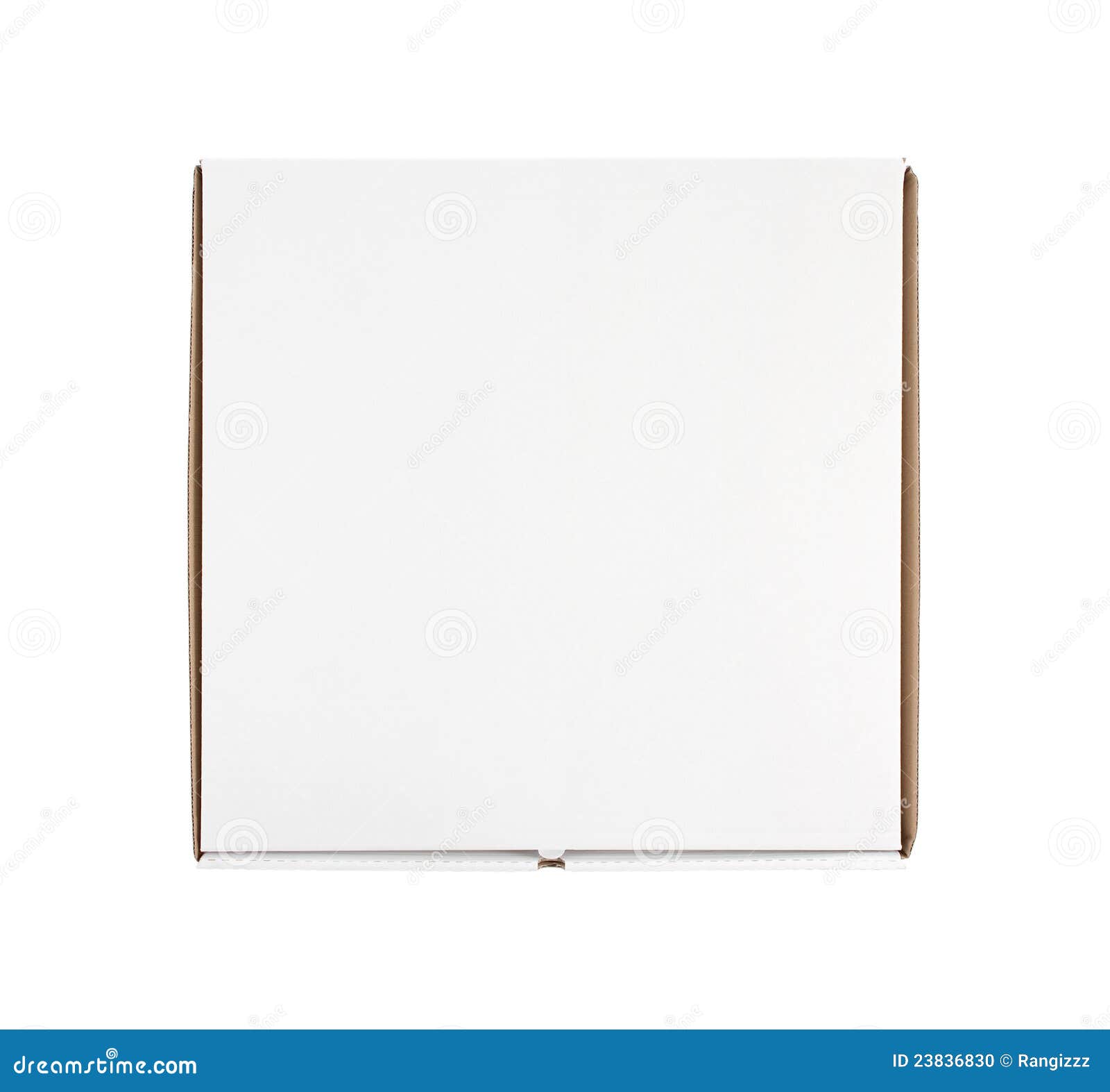 Blank Pizza Box Design Mock Up Set Isolated. Carton Packaging Pi ...
