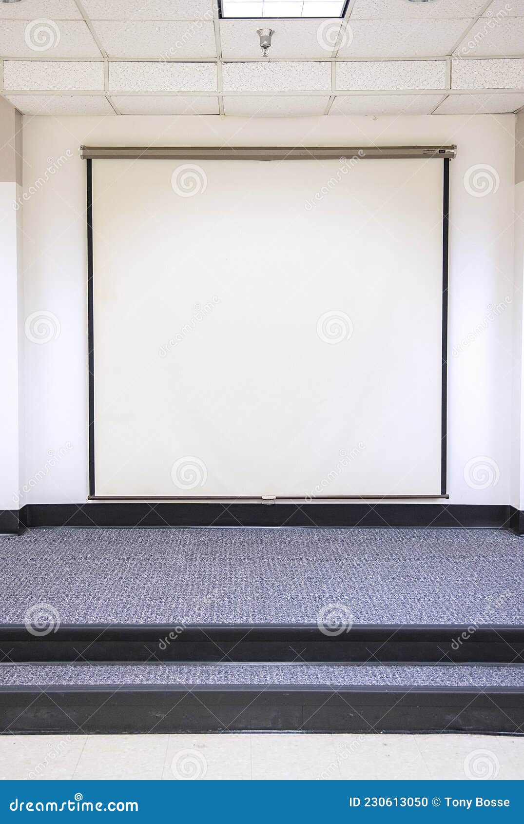 Blank Projection Screen stock photo. Image of board - 230613050