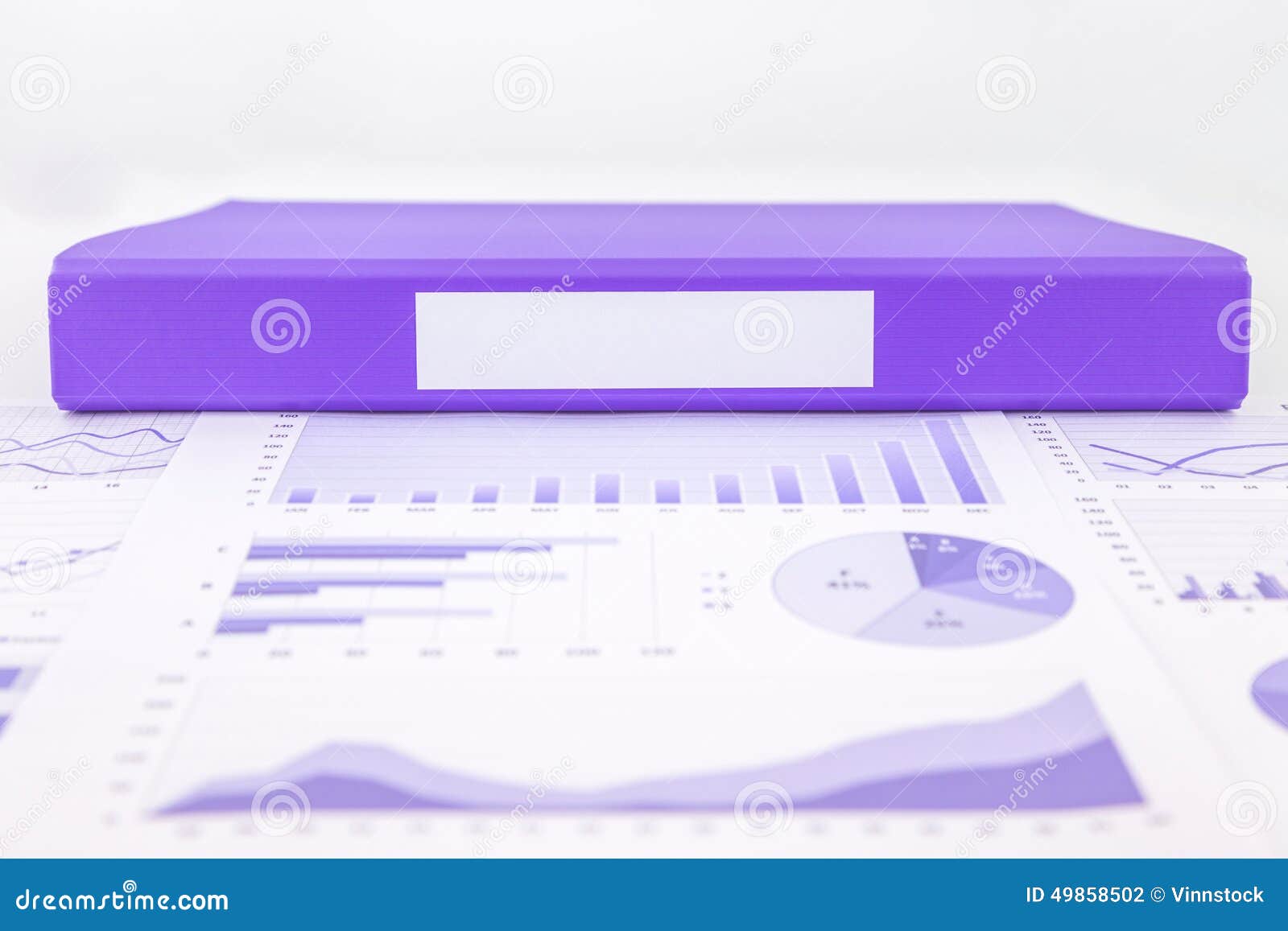 Blank Purple Folder with Graph Summary and Educational Reports Stock ...