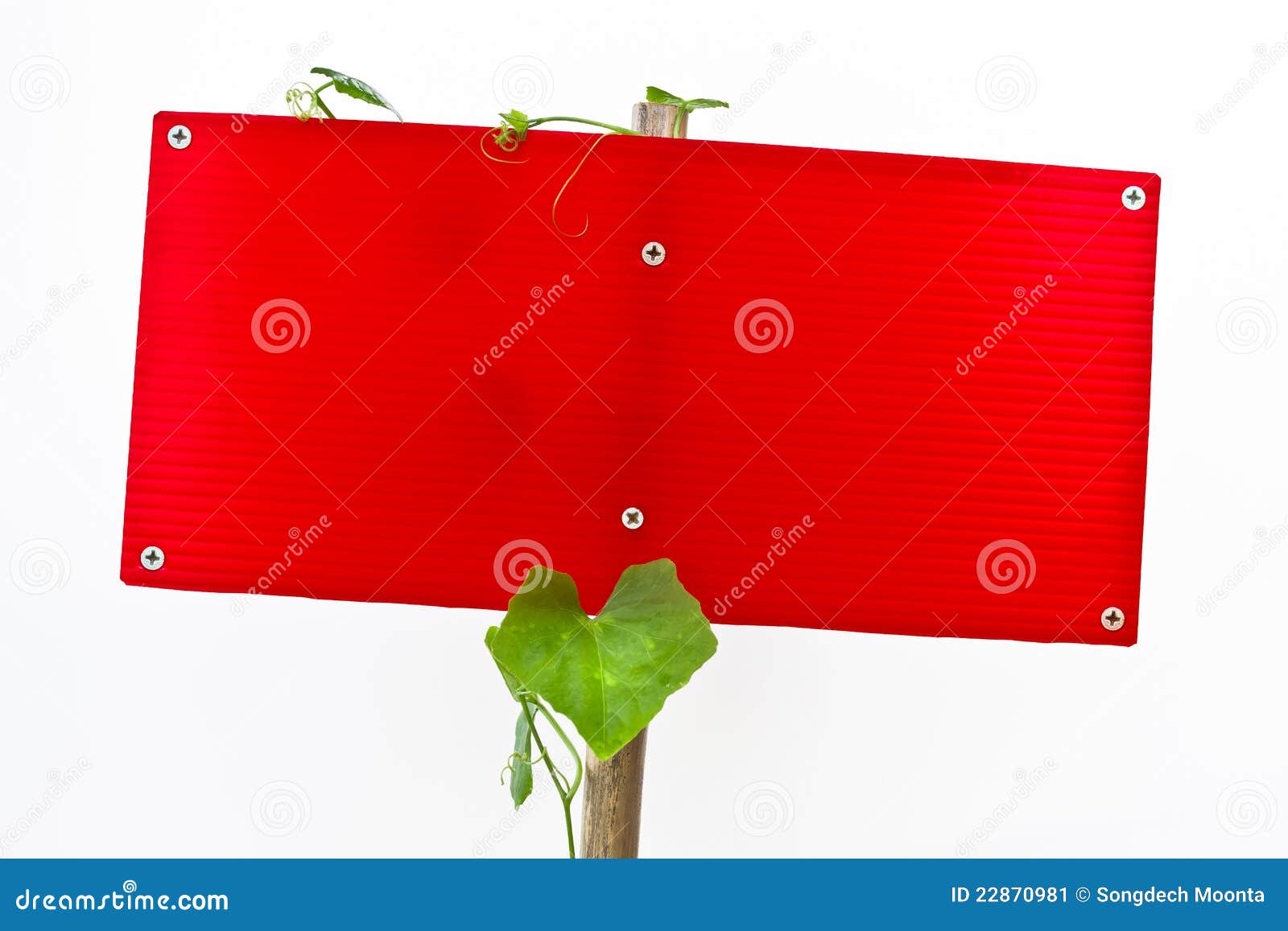 Blank Red Signs Isolated White Stock Image - Image of label, leaf: 22870981