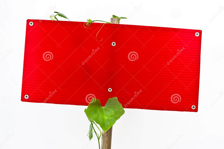 Blank Red Signs Isolated White Stock Image - Image of label, leaf: 22870981