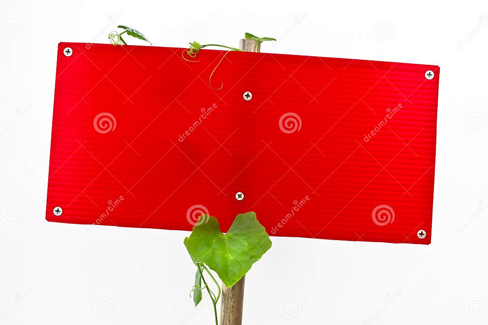 Blank Red Signs Isolated White Stock Image - Image of label, leaf: 22870981