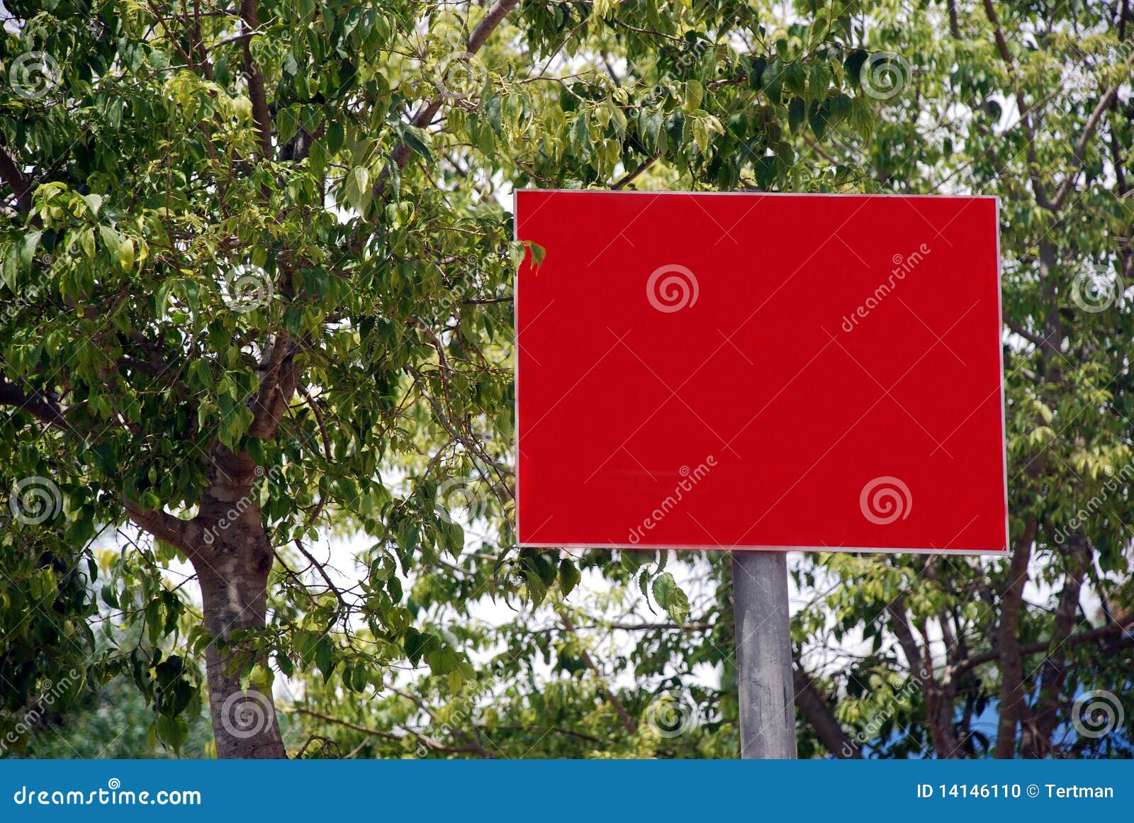 Blank red Street Sign stock photo. Image of panel, design - 14146110