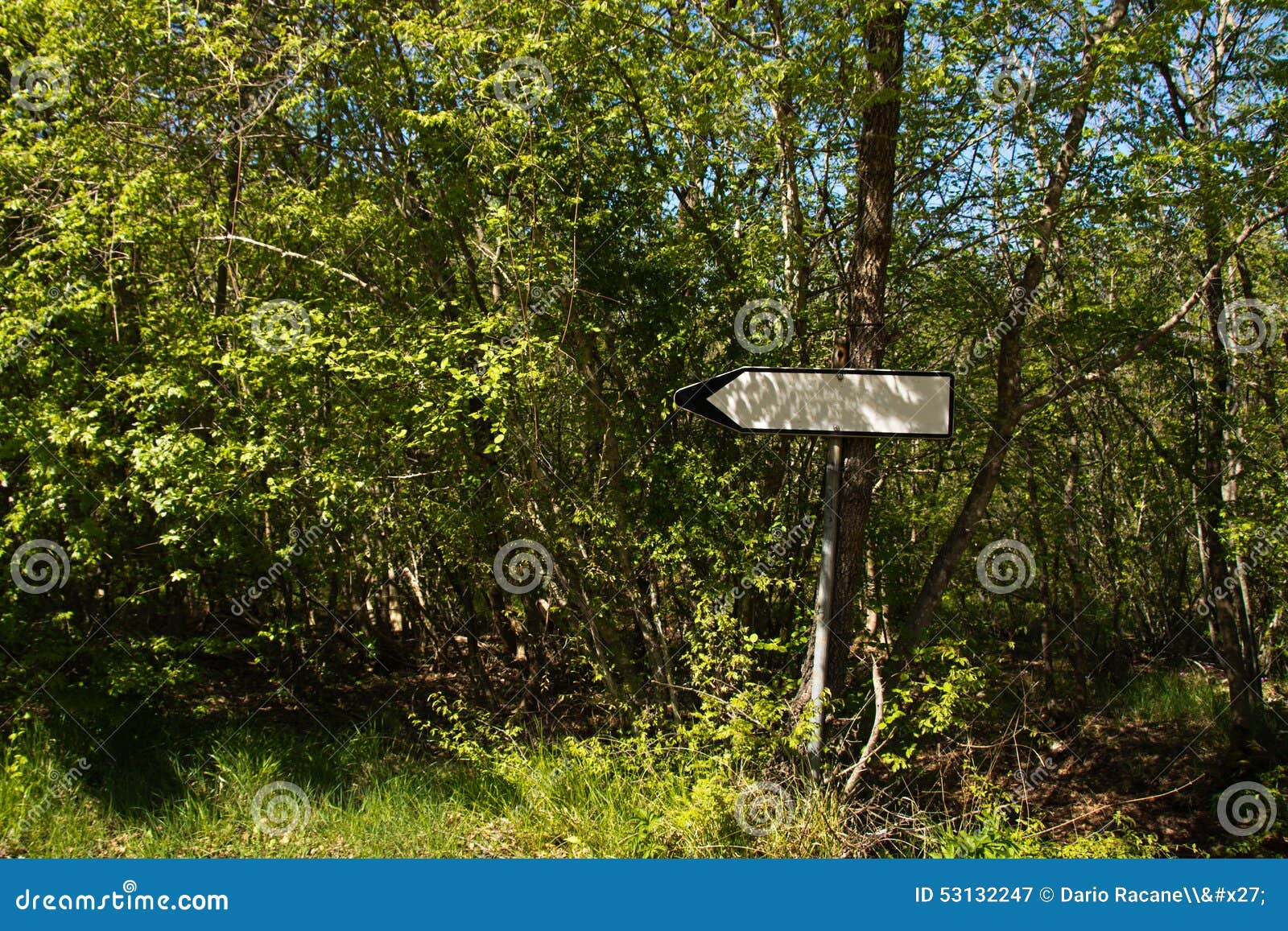 Blank Road Sign in the Forest Stock Image - Image of guidepost ...