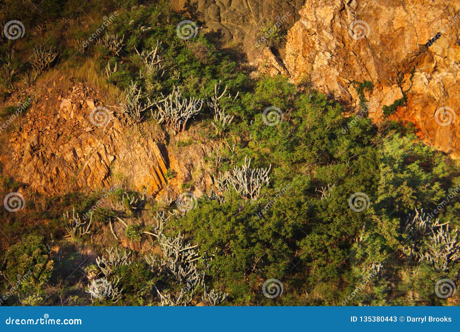 Erosion on a Hillside stock image. Image of rocks, outdoor - 135380443
