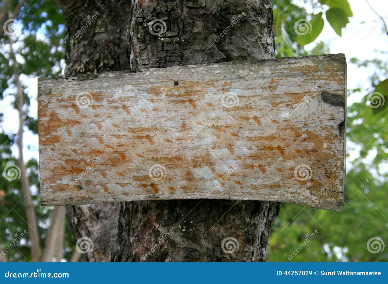 Blank rustic wood sign stock image. Image of trail, vintage - 44257029