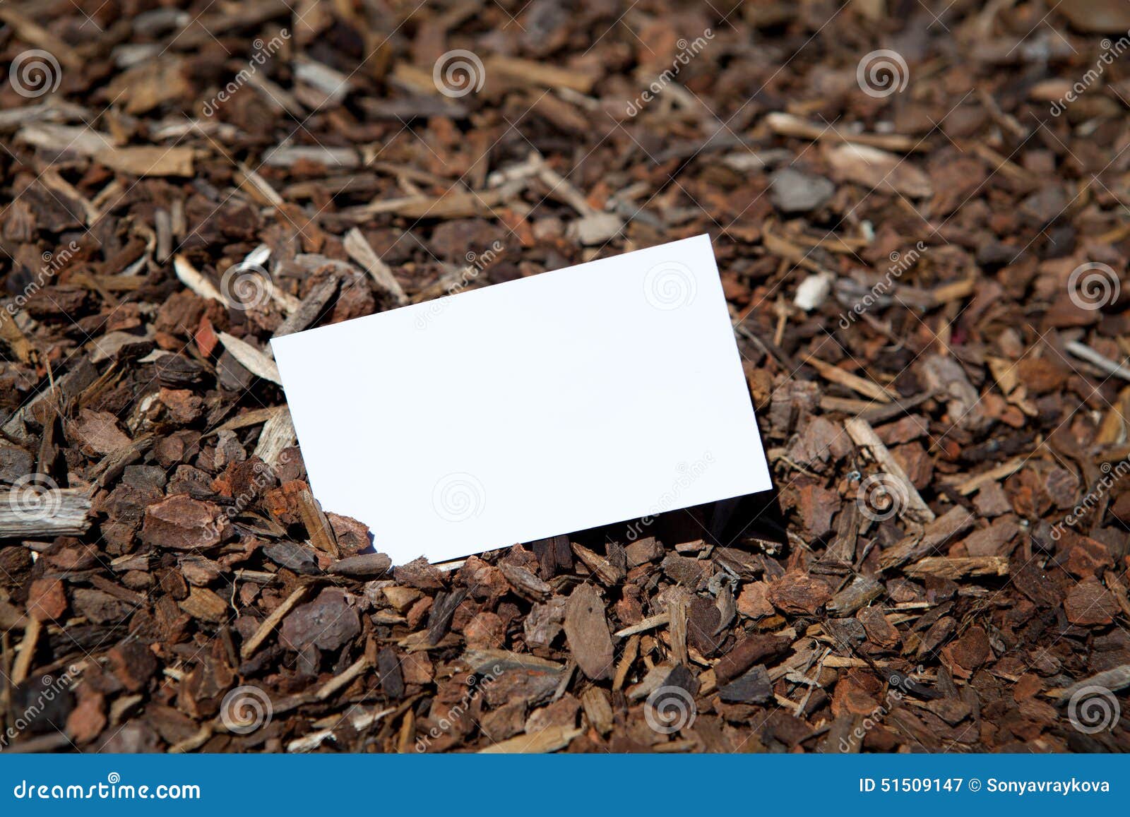 Blank Sample for Business Card or Tag Stock Image - Image of model ...