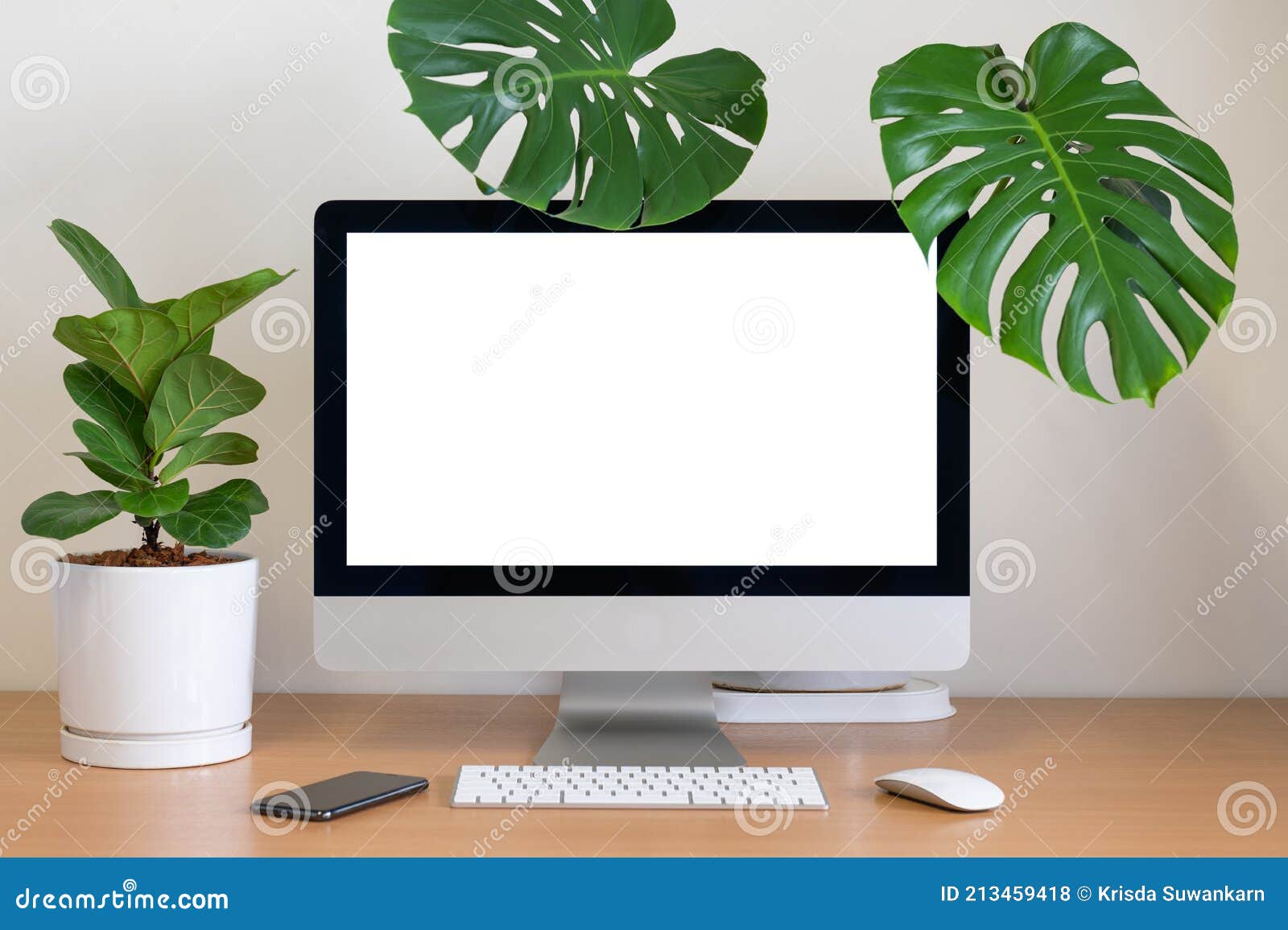 All in One Computer with Monstera and Fiddle Fig Stock Photo - Image of ...