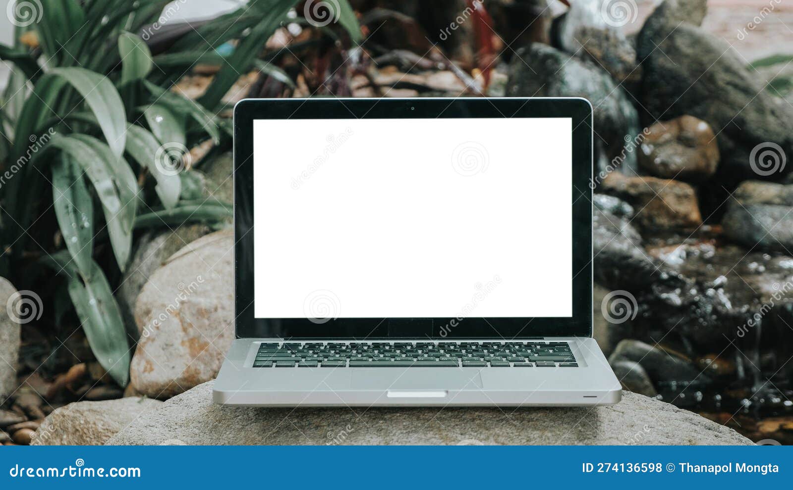 Blank Screen Laptop Computer Set Up for Work in Garden, Mockup, Empty ...