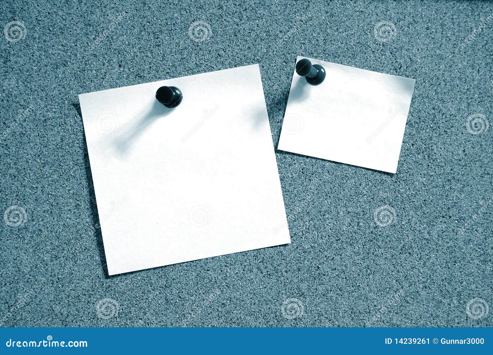 Blank Sheet Paper on Bulletin Board Stock Image - Image of blank ...