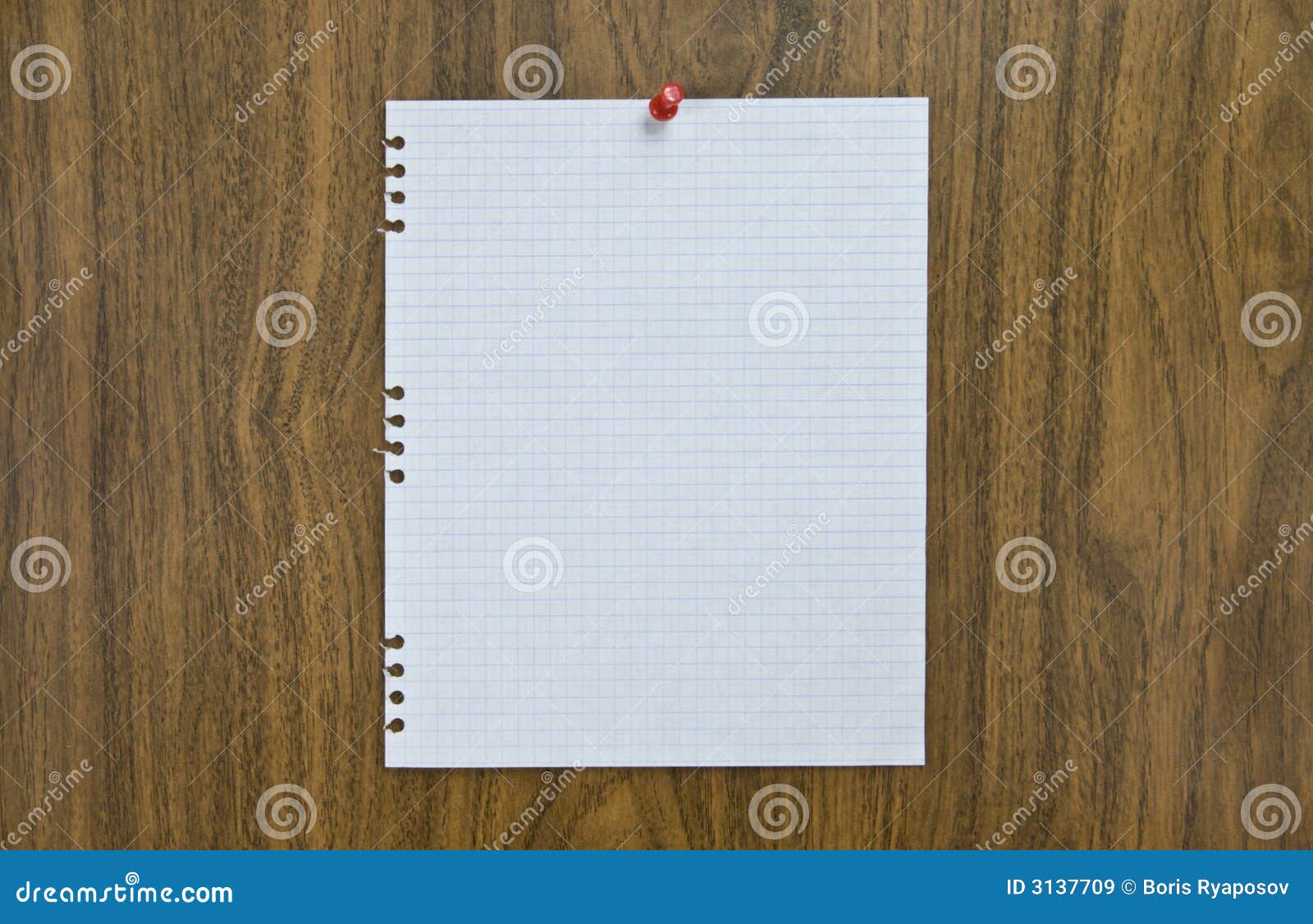 Blank Sheet of Paper on Notice Stock Image - Image of empty, pattern ...