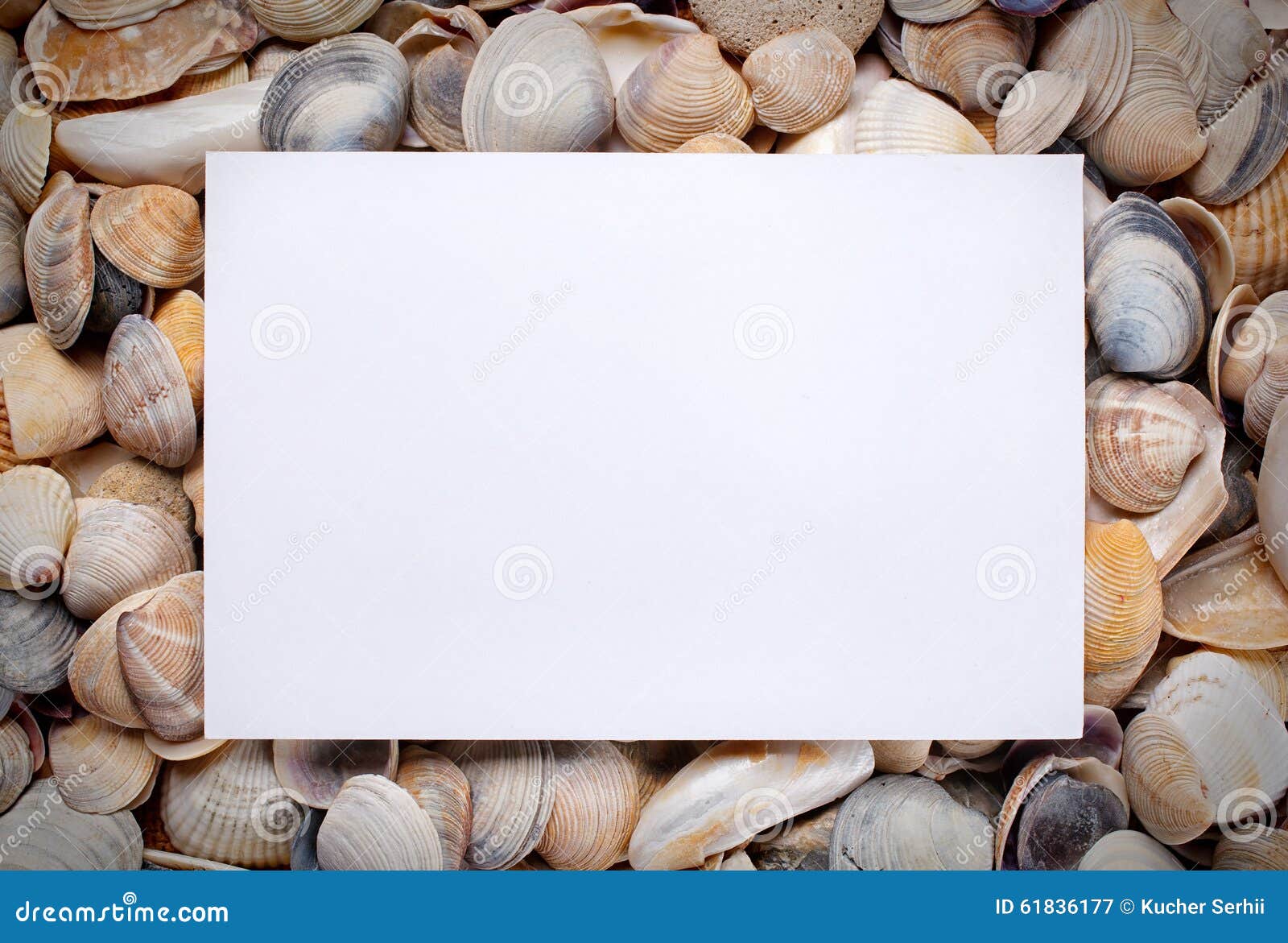 Blank Sheet of Paper on Sea Shell Background Stock Image - Image of ...