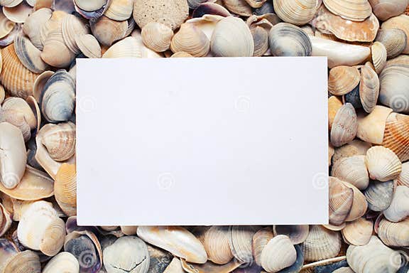 Blank Sheet of Paper on Sea Shell Background Stock Image - Image of ...