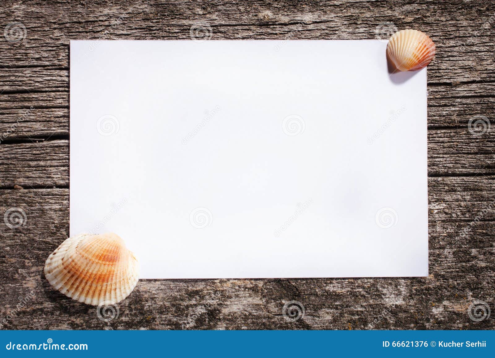 Blank Sheet of Paper and Shells on Wooden Background Stock Photo ...