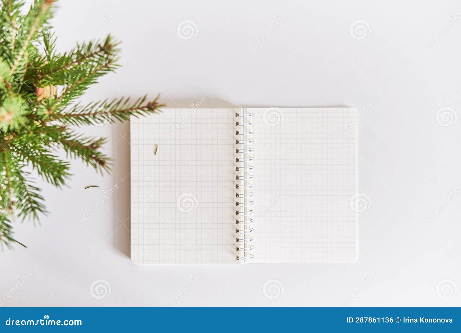 Blank Sheets of Opened Checkered Notepad, Christmas Tree Branches Stock ...