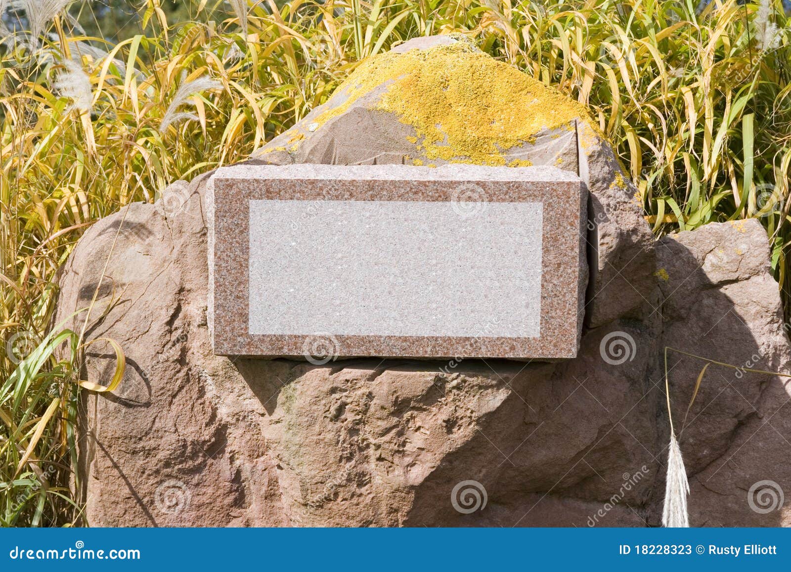Blank Sign stock image. Image of desert, sign, flowers - 18228323