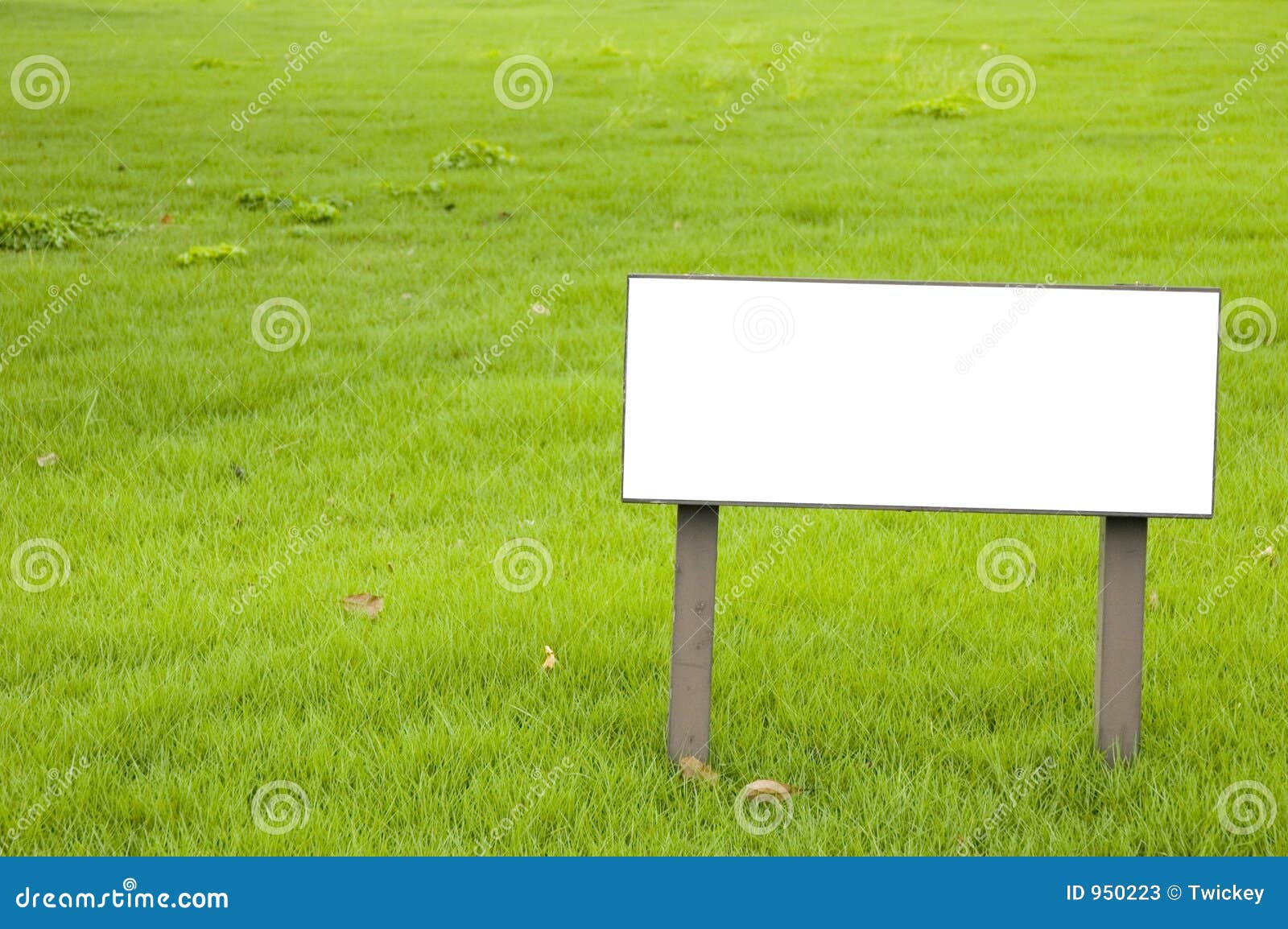 Blank Sign stock image. Image of post, estate, copyspace - 950223