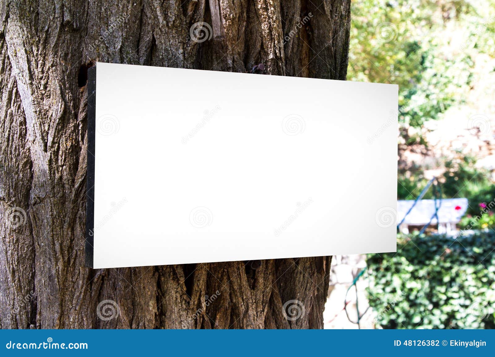 Blank Sign Board on Body of Tree Stock Photo - Image of plaque, tree ...