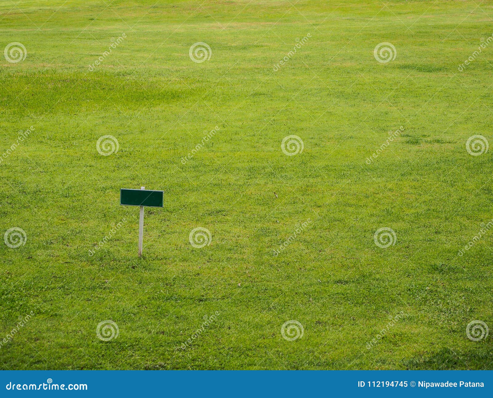 Blank Sign Board in the Lawn Stock Image - Image of natural, banner ...