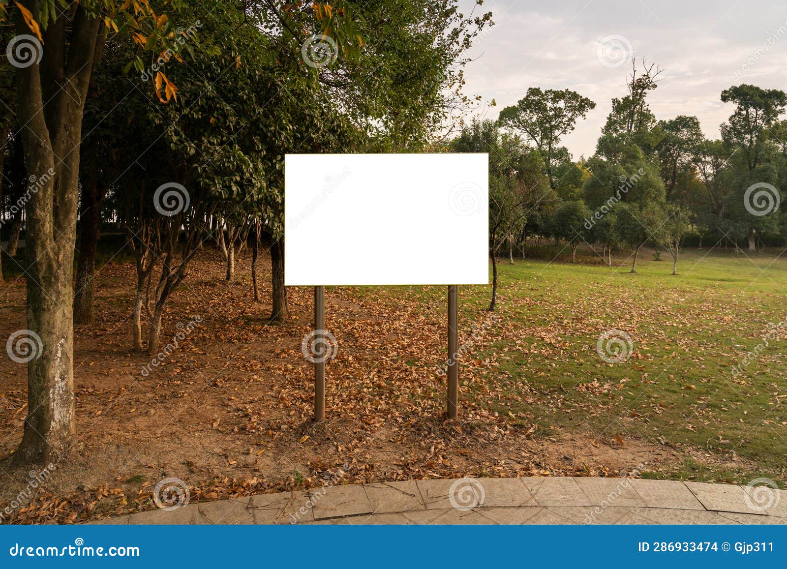 Blank Sign Board in the Park Stock Photo - Image of panel, roadside ...