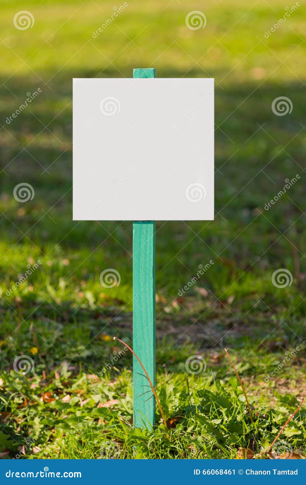 Blank sign board. stock image. Image of path, advise - 66068461