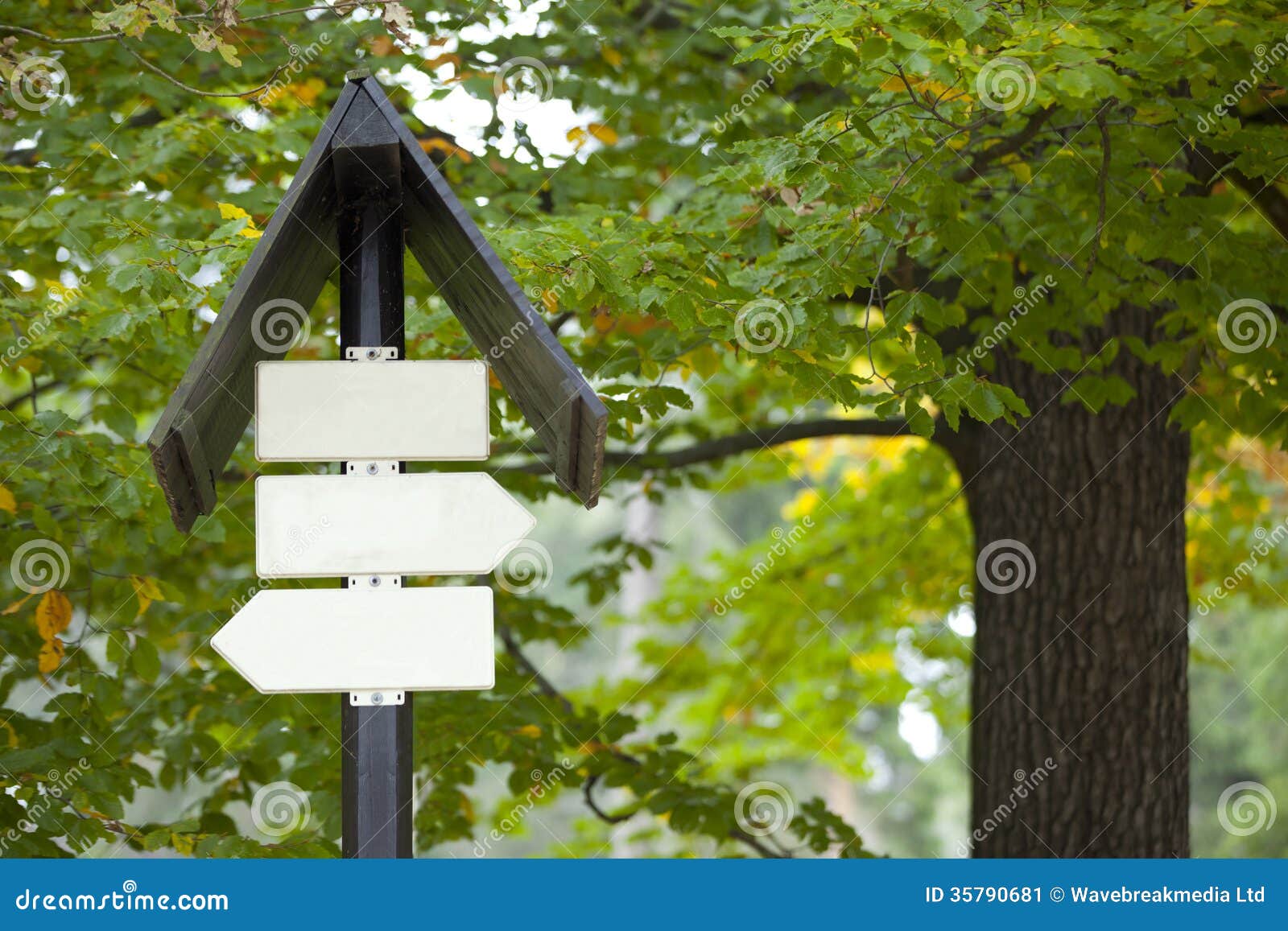 Blank Sign Boards Against Trees Stock Image - Image of symbol, people ...