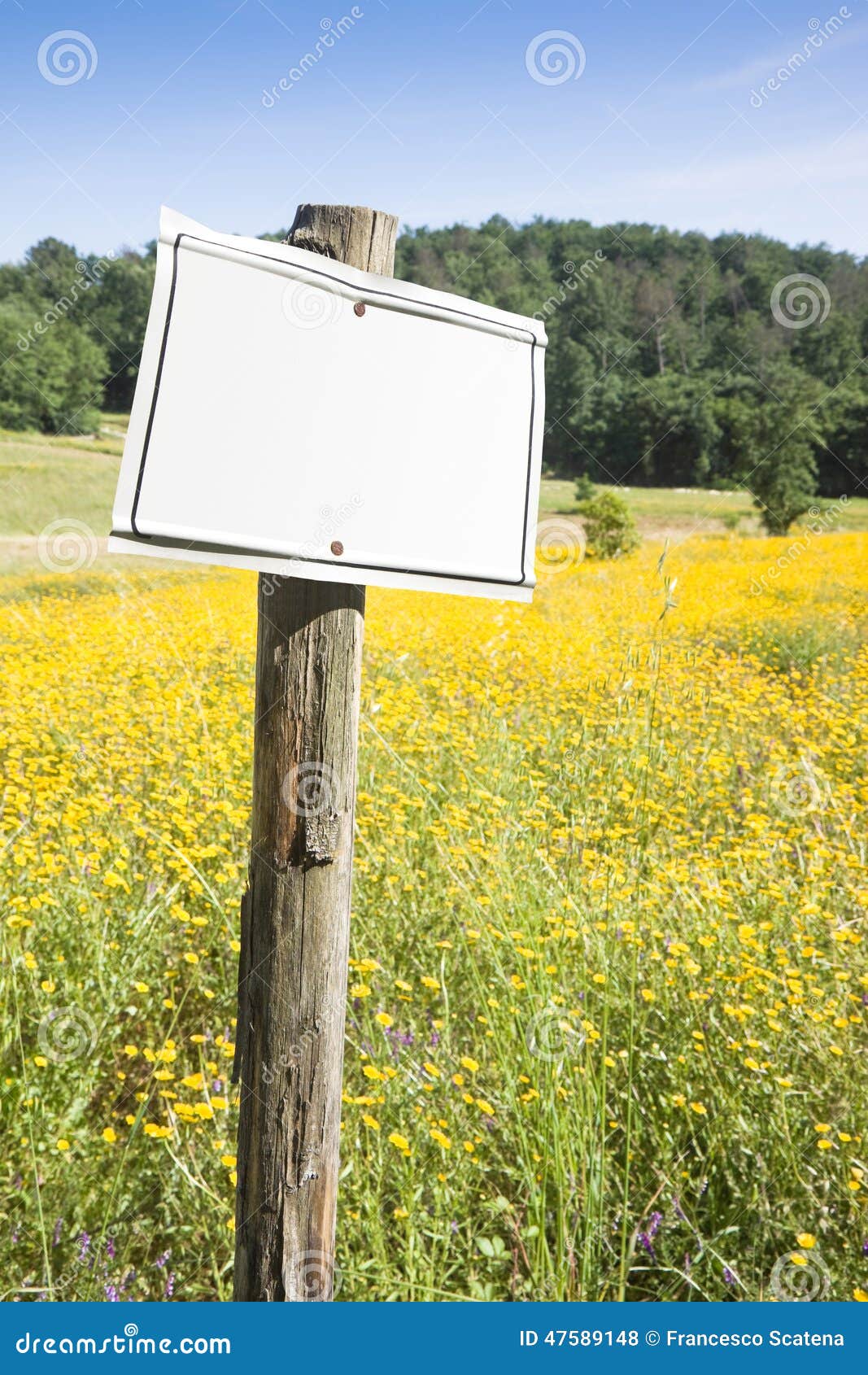 Blank Sign in the Countryside Stock Photo - Image of advertisement ...