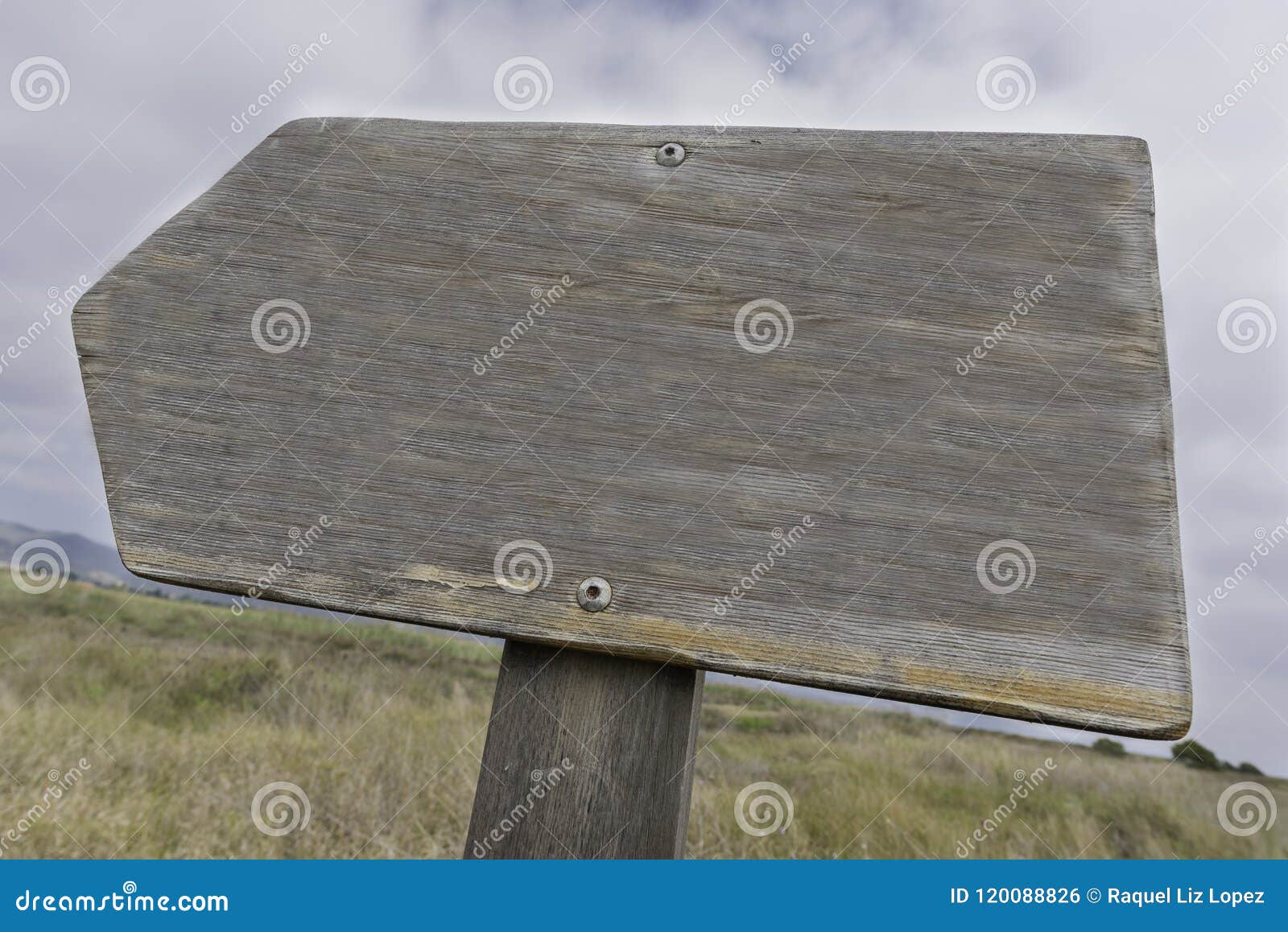 Wooden blank sign. stock photo. Image of wood, design - 120088826