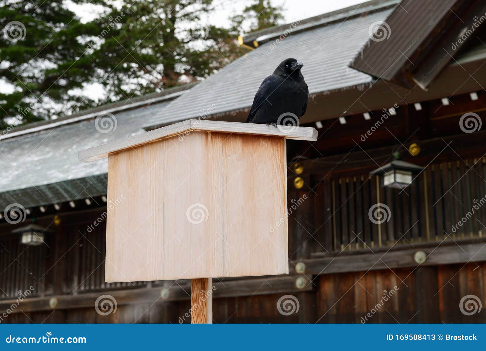 Blank Sign with a Crow on it Stock Image - Image of sign, japan: 169508413