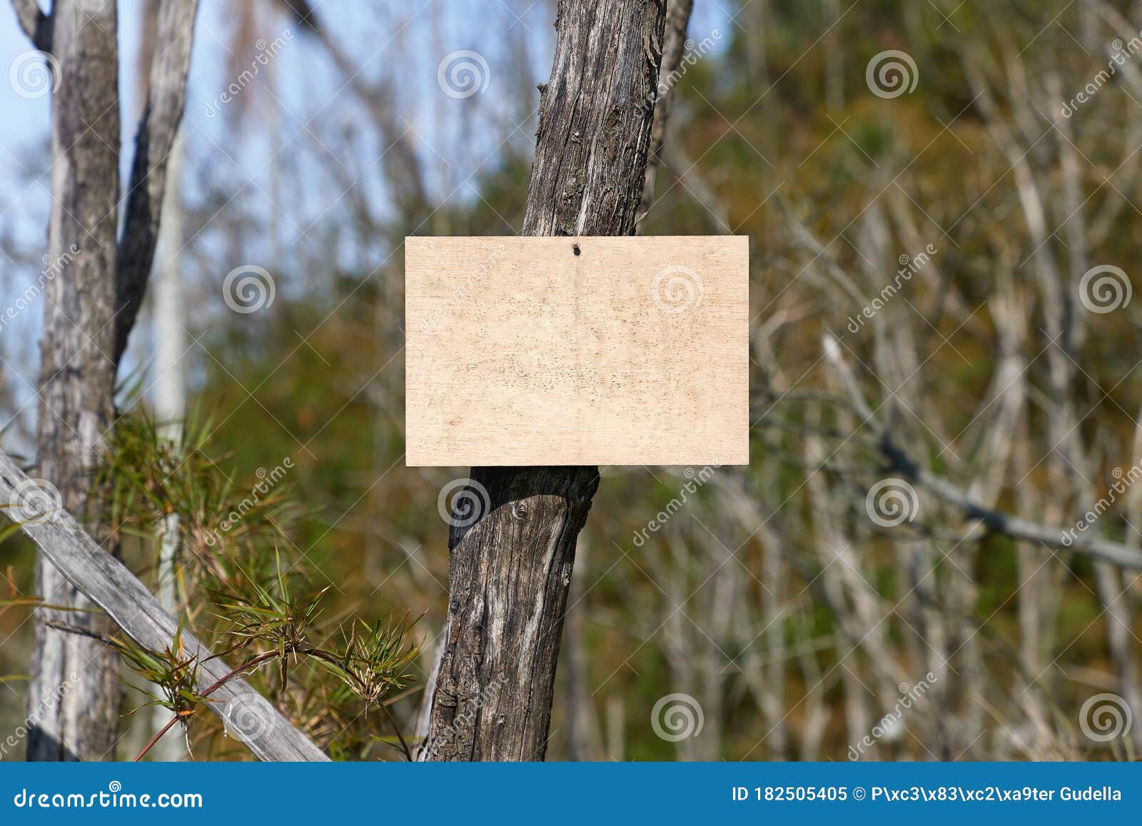 Blank Sign in a Forest, Add Your Own Text Stock Image - Image of blank ...