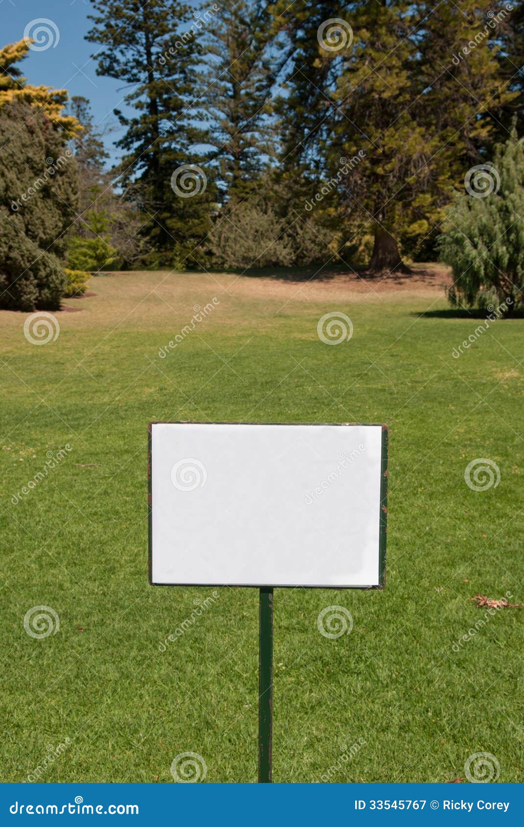 Blank sign stock image. Image of blank, lawn, trees, empty - 33545767