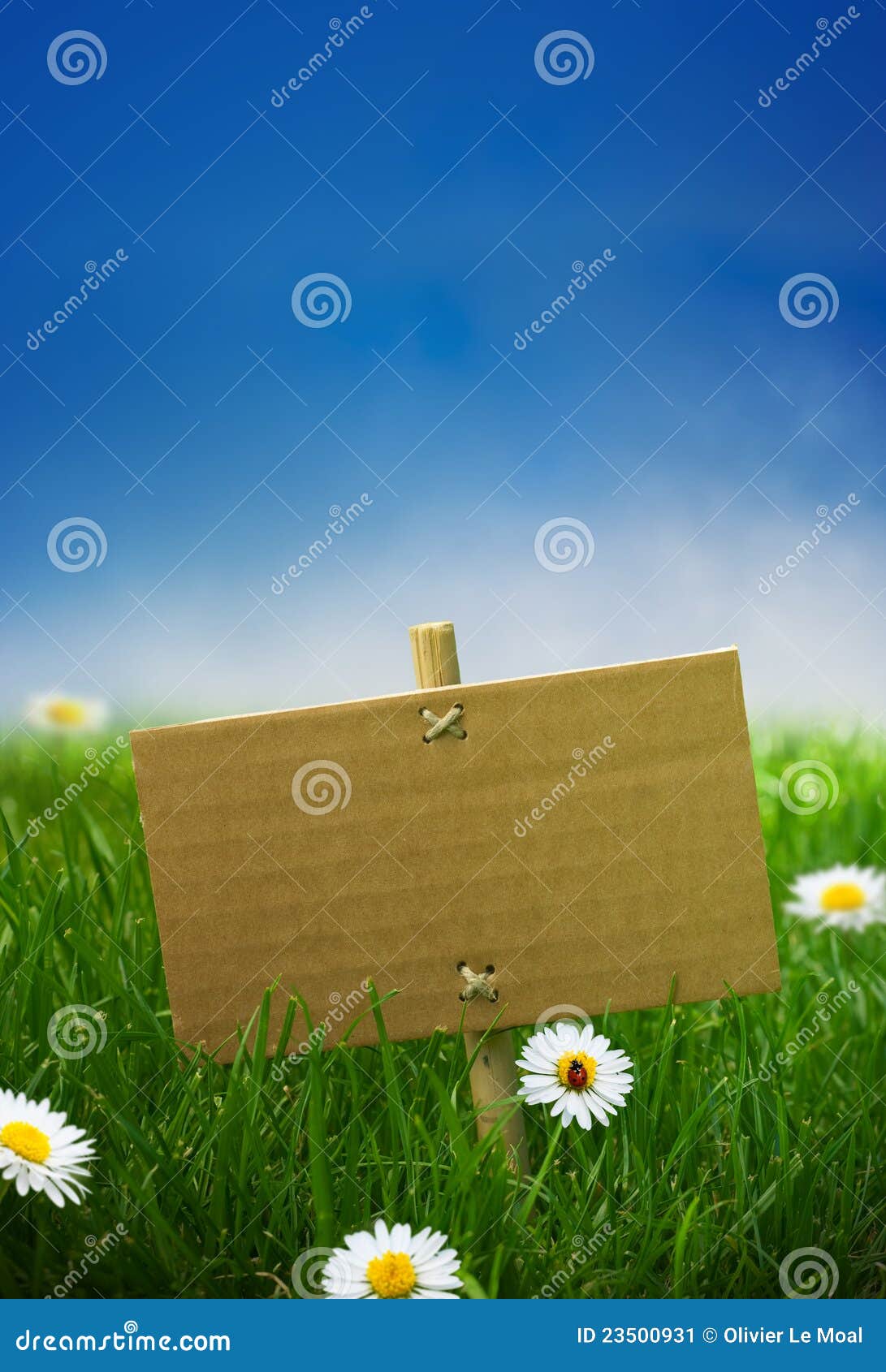 Blank Sign Green Garden Background Stock Image - Image of flowers, blue ...